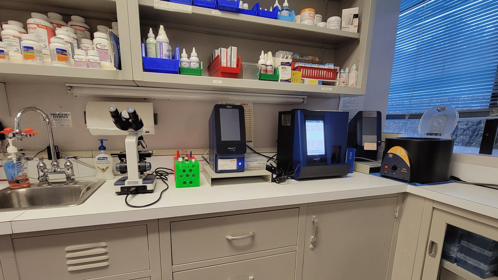 Pet Laboratory In Spring, TX 77386 | True Companion Animal